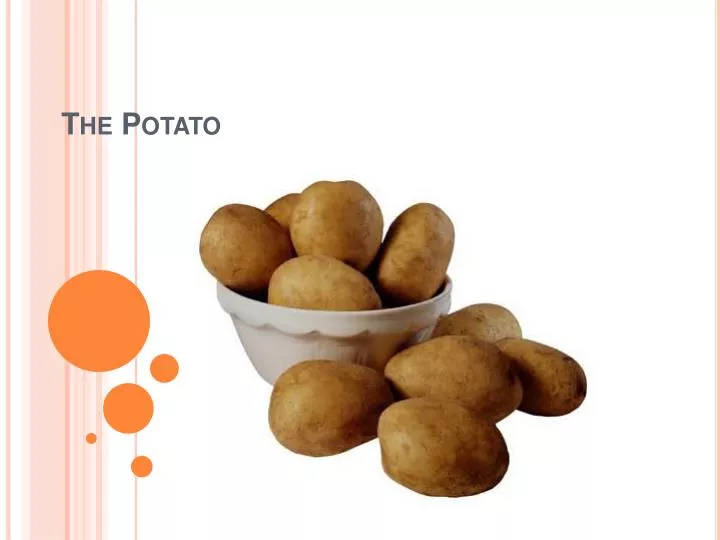 PPT - The Potato PowerPoint Presentation, free download - ID:2605241