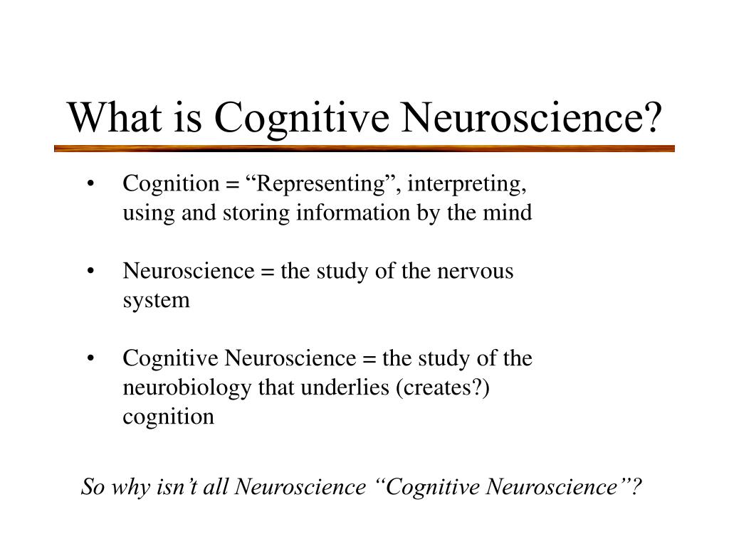 PPT - Neuroscience 3680 - Cognitive Neuroscience Dr. Matthew Tata ...