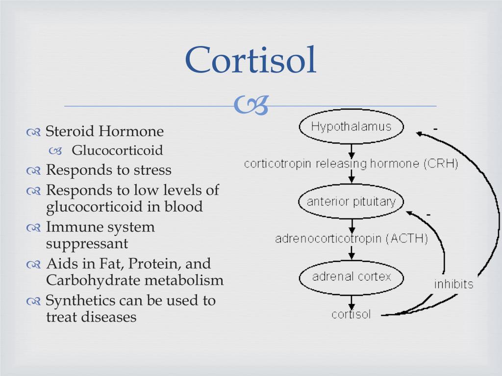 Ppt The Adrenal Glands Powerpoint Presentation Free Download Id