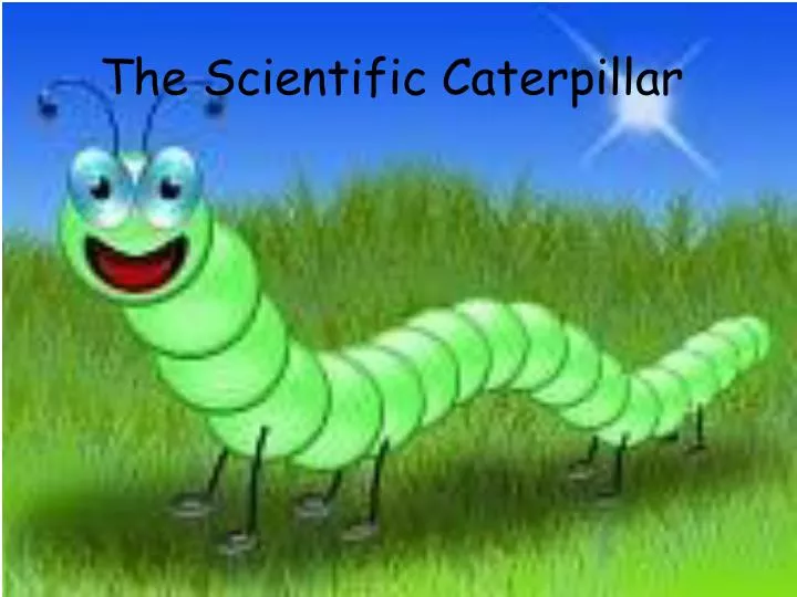 PPT - The Scientific Caterpillar PowerPoint Presentation, free download ...