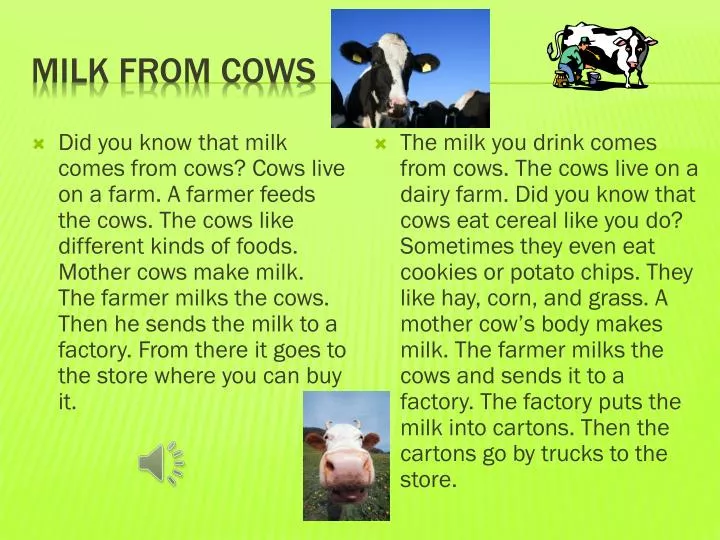PPT - Milk From Cows PowerPoint Presentation, free download - ID:2607413