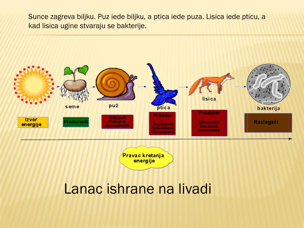 PPT - Prirodna zivotna zajednica livada I pasnjak PowerPoint ...