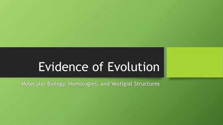 PPT - Evidence of Evolution PowerPoint Presentation, free download - ID ...