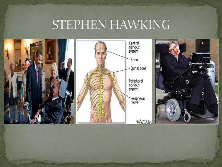 PPT - STEPHEN HAWKING PowerPoint Presentation, free download - ID:2608844