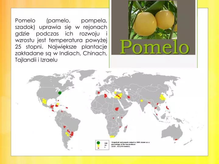 PPT - Pomelo PowerPoint Presentation, free download - ID:2608972