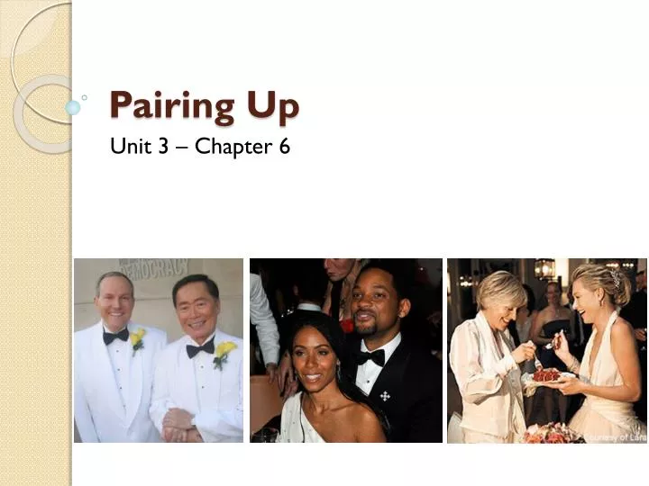 PPT - Pairing Up PowerPoint Presentation, free download - ID:2609029