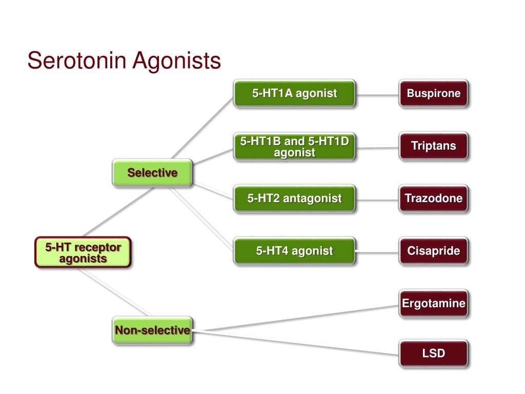 PPT - Receptor Pharmacology in Depression Treatment PowerPoint ...