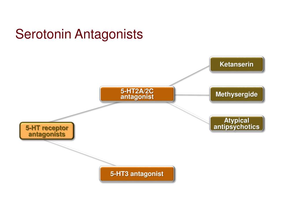 PPT - Receptor Pharmacology in Depression Treatment PowerPoint ...