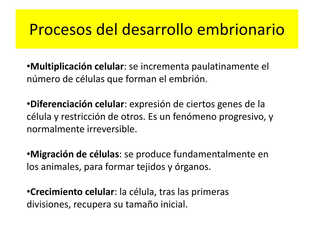 PPT - Conceptos básicos de desarrollo embrionario animal PowerPoint ...