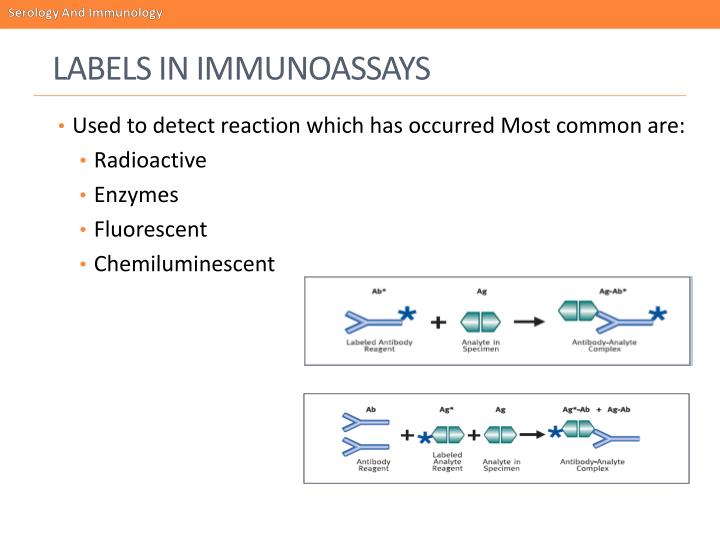PPT - Radioimmunoassay PowerPoint Presentation - ID:2609496