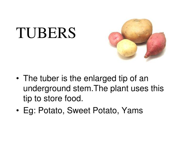 PPT - Vegetables PowerPoint Presentation - ID:2611296