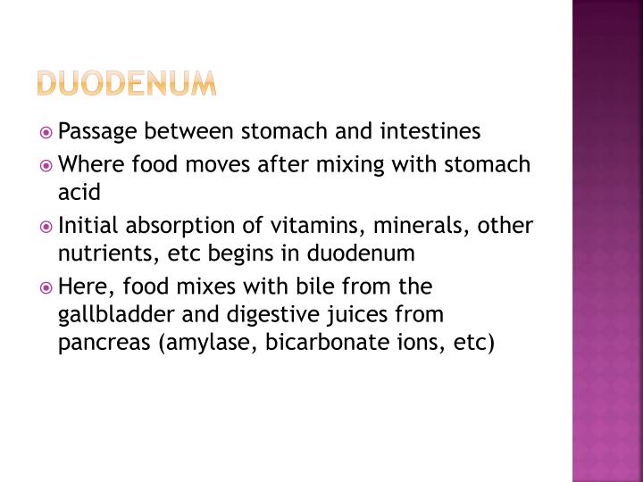 PPT - The Digestive System PowerPoint Presentation - ID:2611832