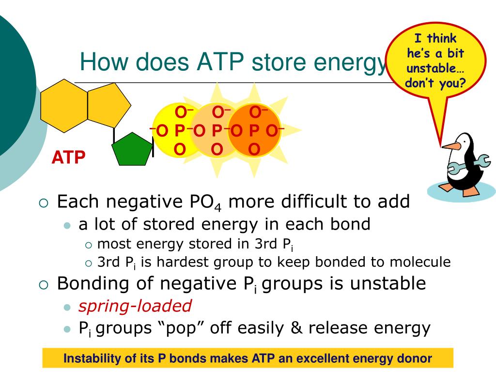 PPT - The 2 nd Law of Thermodynamics PowerPoint Presentation, free ...