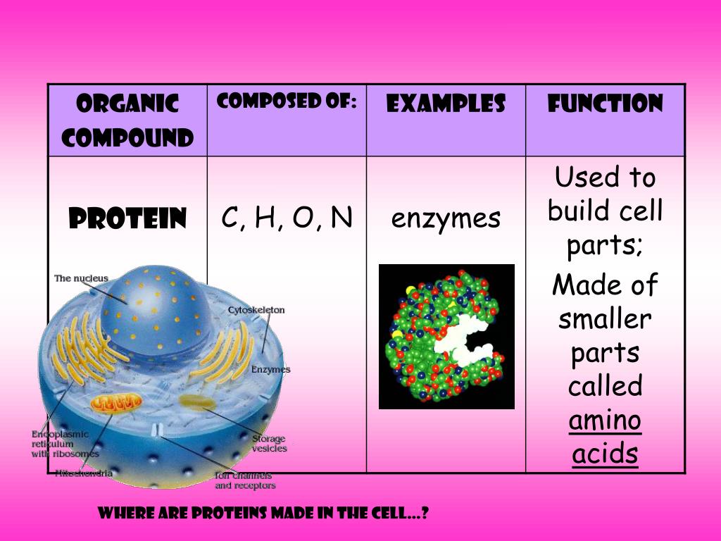 PPT - The Chemistry of Living Things PowerPoint Presentation, free ...