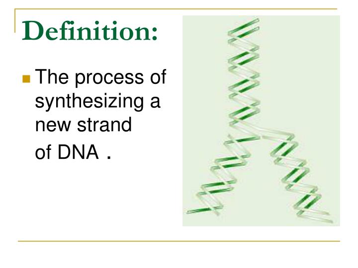 PPT - REPLICATION: PowerPoint Presentation - ID:2613028