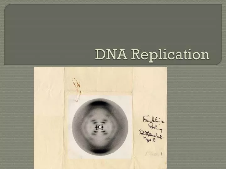 Ppt Dna Replication Powerpoint Presentation Free Download Id 2613195