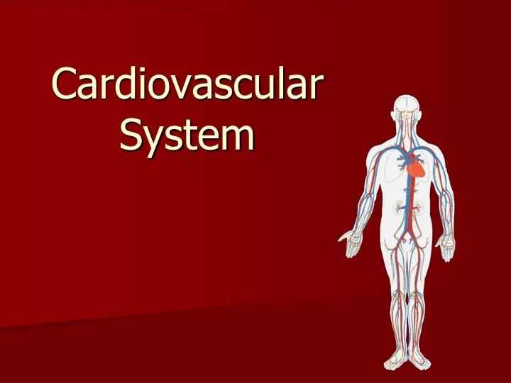 PPT - Cardiovascular System PowerPoint Presentation, free download - ID ...