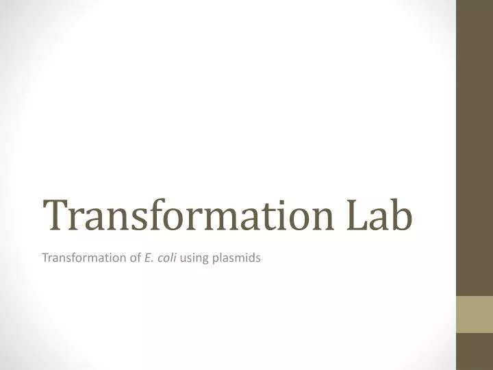 PPT - Transformation Lab PowerPoint Presentation, free download - ID ...