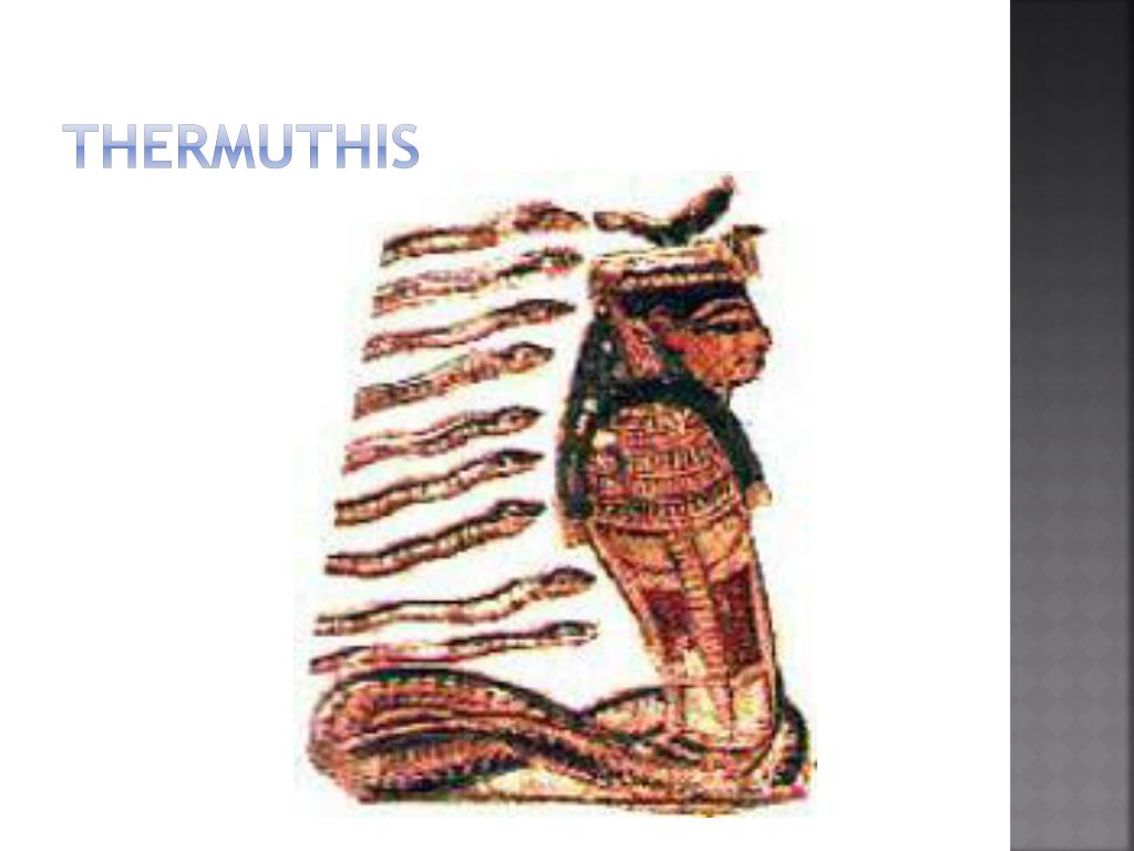 PPT - “Against All the Gods of Egypt” Exodus 12:12 PowerPoint ...