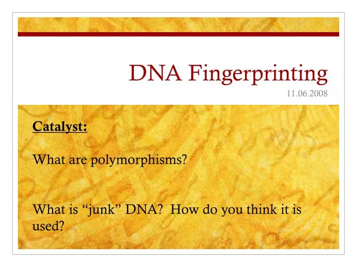 PPT - DNA Fingerprinting PowerPoint Presentation, free download - ID ... PPT - DNA Fingerprinting PowerPoint Presentation, free download - ID ...