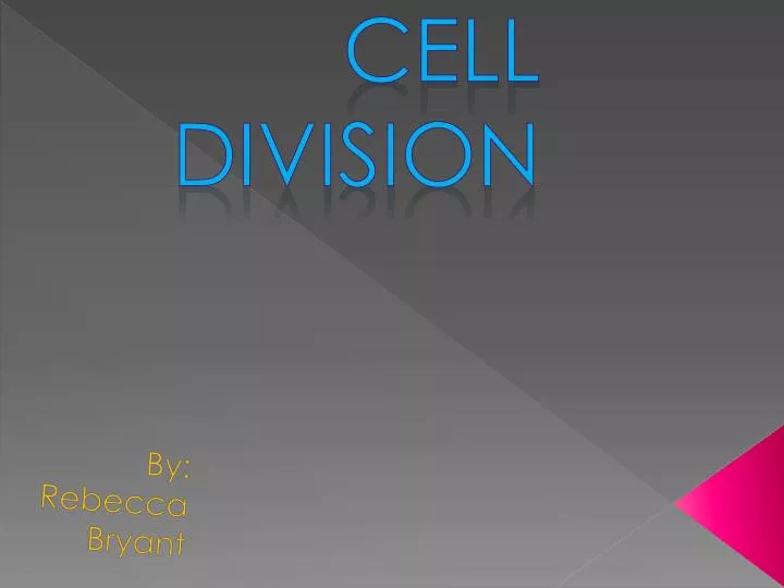 PPT - CELL DIVISION PowerPoint Presentation, free download - ID:2619053