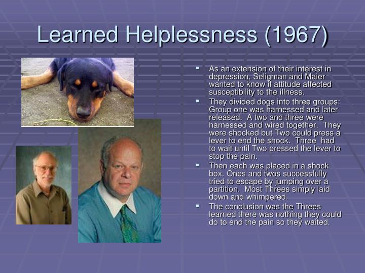 PPT - Ethics in Psychology PowerPoint Presentation - ID:2619443