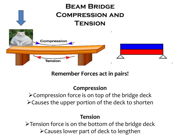 PPT - Bridges PowerPoint Presentation - ID:2620232