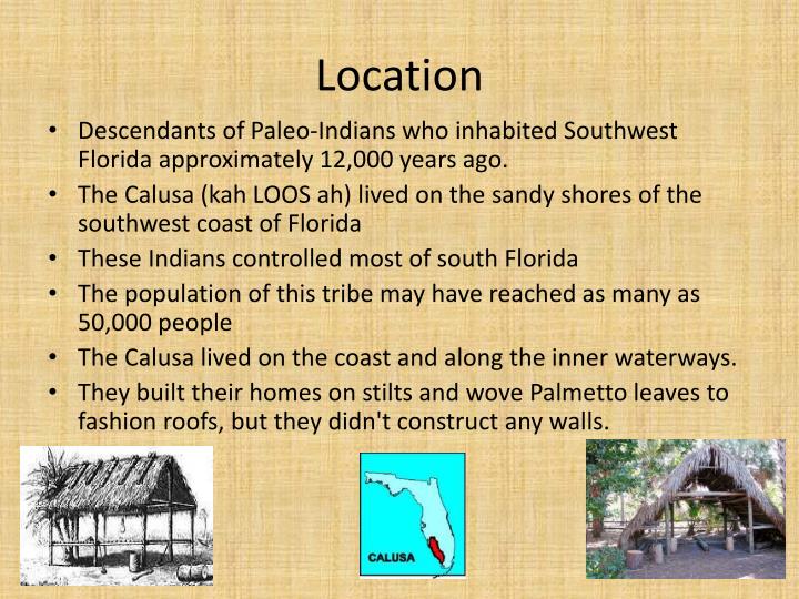 PPT - The Calusa Indians “The Shell Indians” PowerPoint Presentation ...