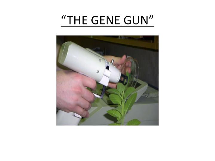 PPT - Microscopy PowerPoint Presentation - ID:2620783