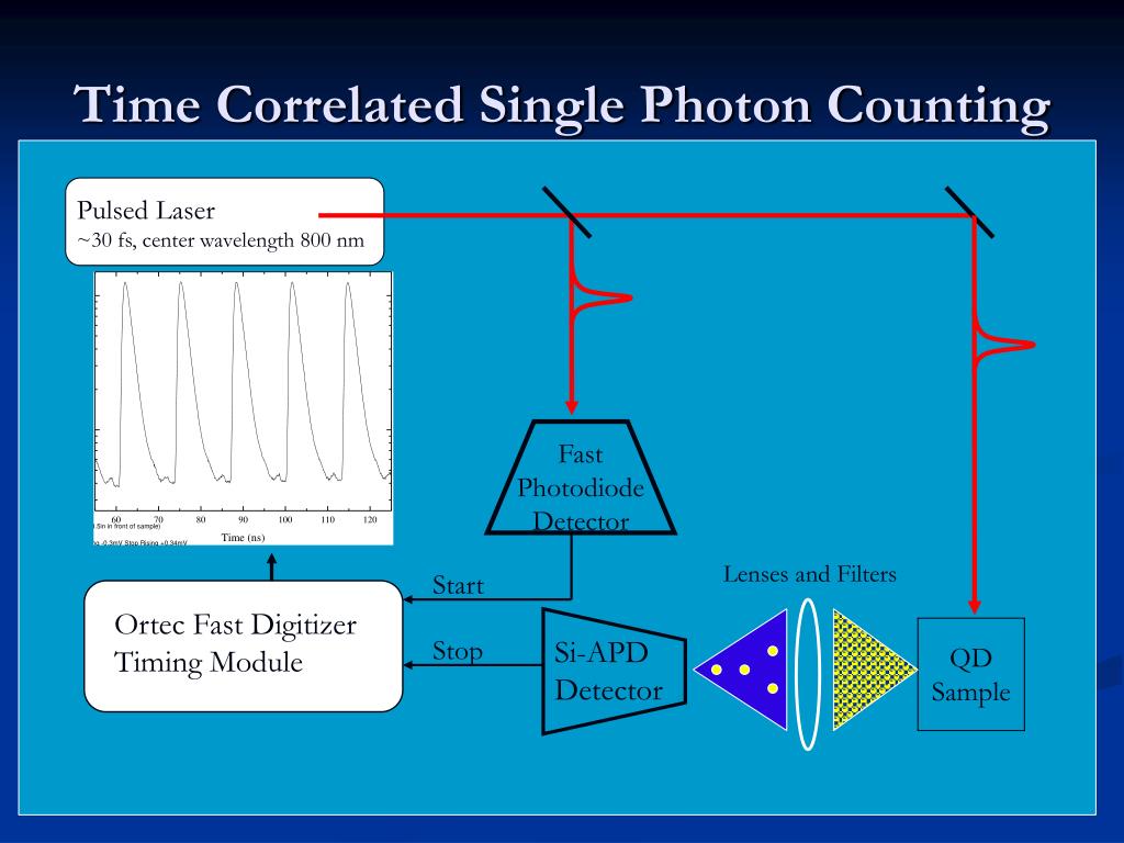 PPT - Time-Correlated Single Photon Counting (TCSPC) PowerPoint ... PPT - Time-Correlated Single Photon Counting (TCSPC) PowerPoint ...