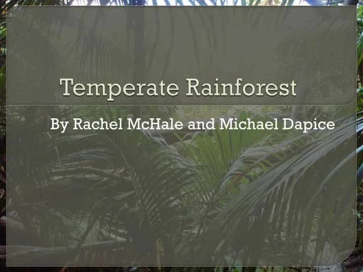 PPT - Temperate Rainforest PowerPoint Presentation, free download - ID ...