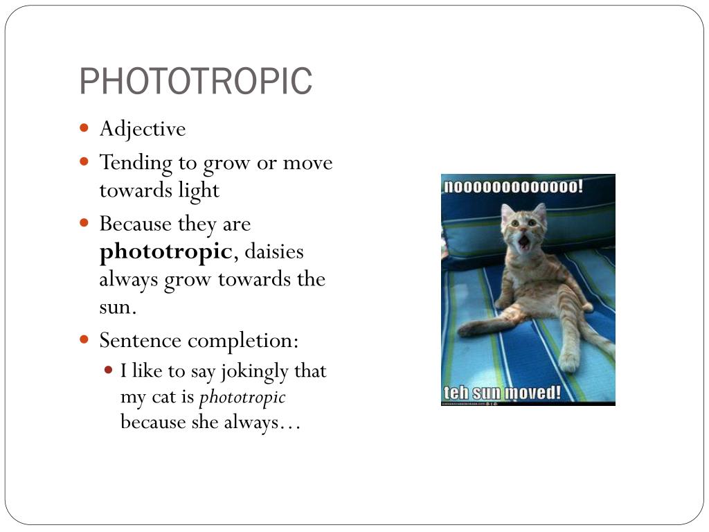 PPT - Wednesday, January 23, 2014 PowerPoint Presentation, free ...