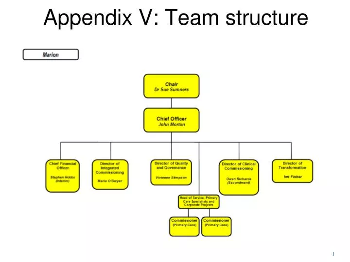 Ppt Appendix V Team Structure Powerpoint Presentation Free Download