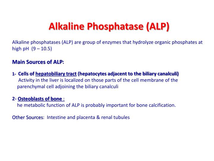 PPT - Liver Function Tests (LFTs) PowerPoint Presentation - ID:2621899