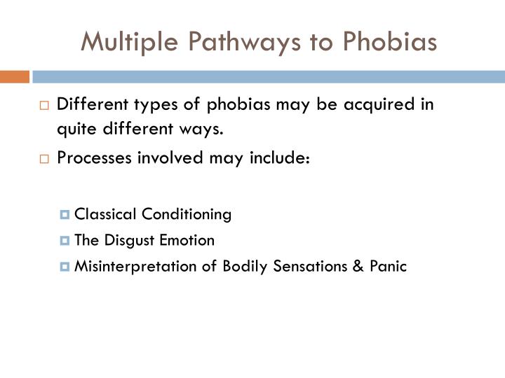 PPT - Treatment of PHOBIAS PowerPoint Presentation - ID:2622405