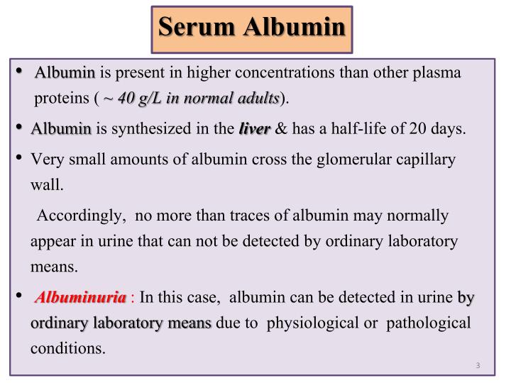Albumen Causes Symptoms Treatment Albumen