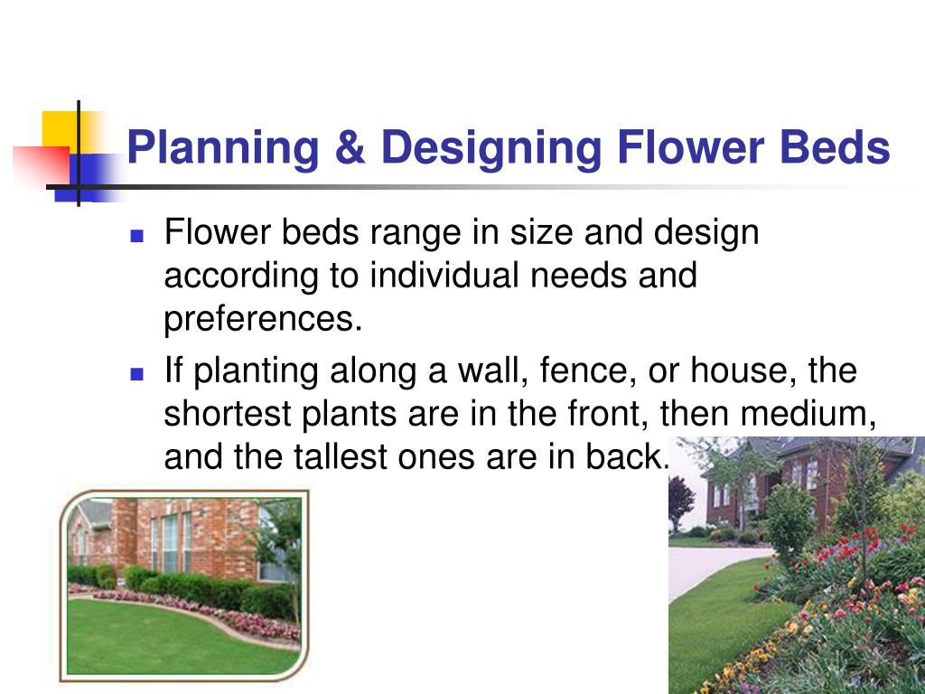 PPT - Annual Bedding Plants PowerPoint Presentation, free download - ID ...