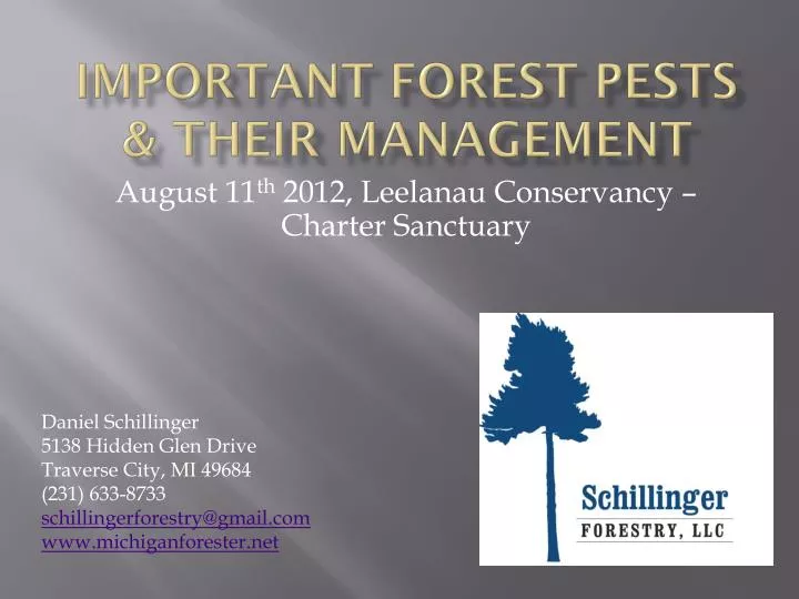 PPT - Important Forest pests & Their Management PowerPoint Presentation ...