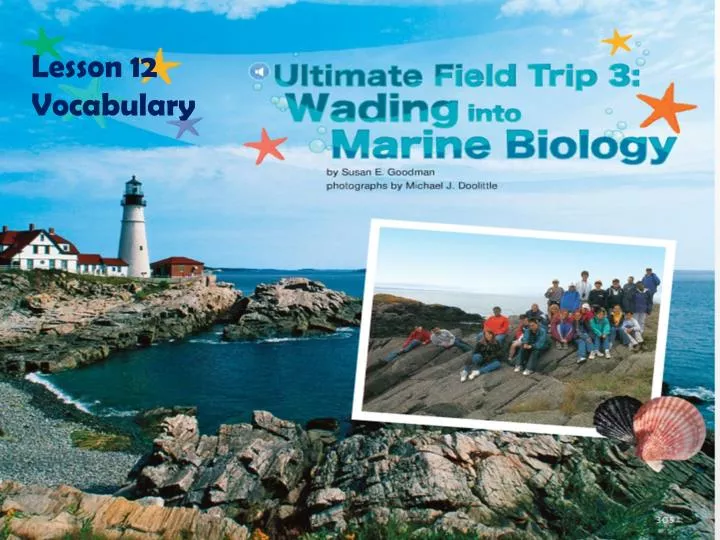 PPT - Lesson 12 Vocabulary PowerPoint Presentation, free download - ID ...