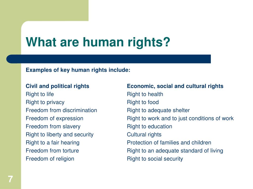 PPT - Using Human Rights in the Fight against Violence against Women ...