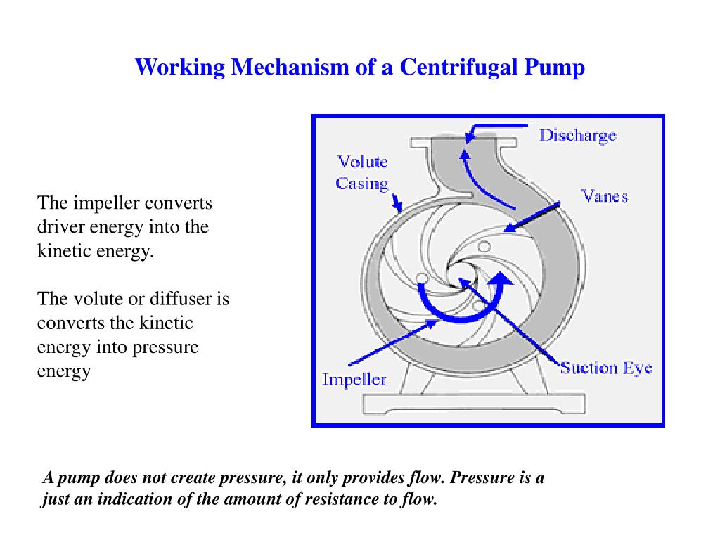PPT - CENTRIFUGAL PUMPS PowerPoint Presentation, free download - ID:2625601 PPT - CENTRIFUGAL PUMPS PowerPoint Presentation, free download - ID:2625601