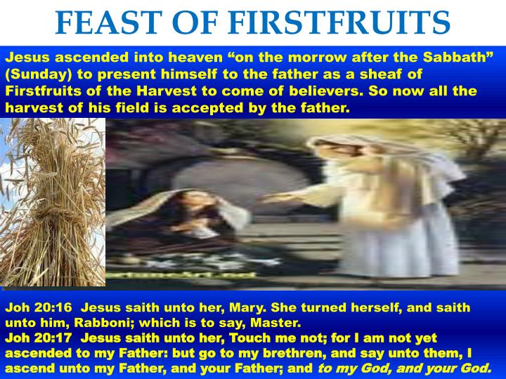 PPT - The Feast of First Fruits PowerPoint Presentation - ID:2626114