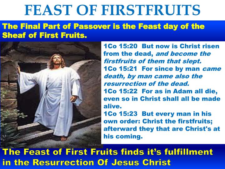 PPT - The Feast of First Fruits PowerPoint Presentation - ID:2626114