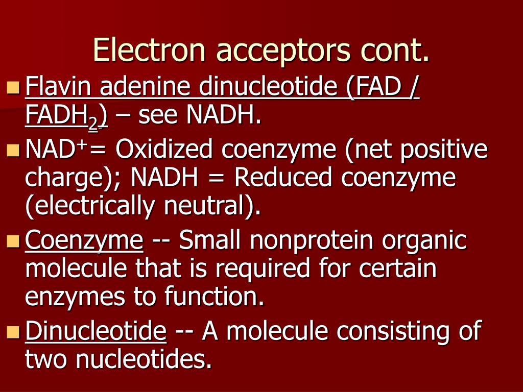 PPT - Cellular Respiration: Harvesting Chemical Energy PowerPoint ...