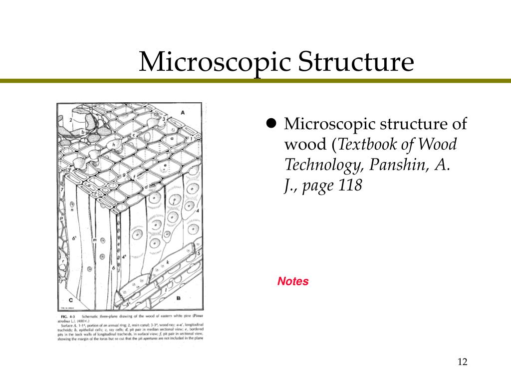 PPT - Wood Chemistry PSE 406 PowerPoint Presentation, free download ...