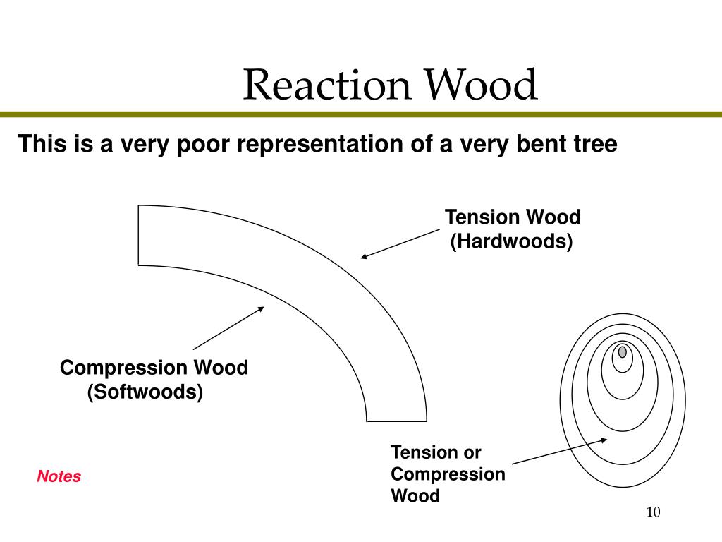PPT - Wood Chemistry PSE 406 PowerPoint Presentation, free download ...