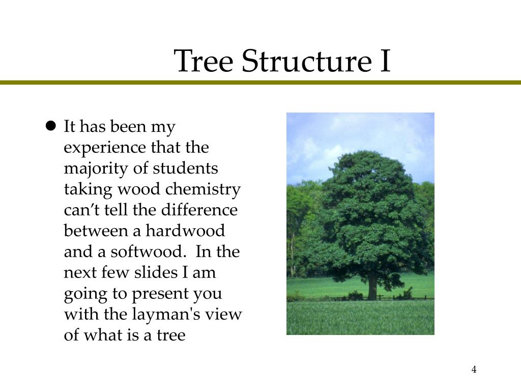 PPT - Wood Chemistry PSE 406 PowerPoint Presentation, free download ...