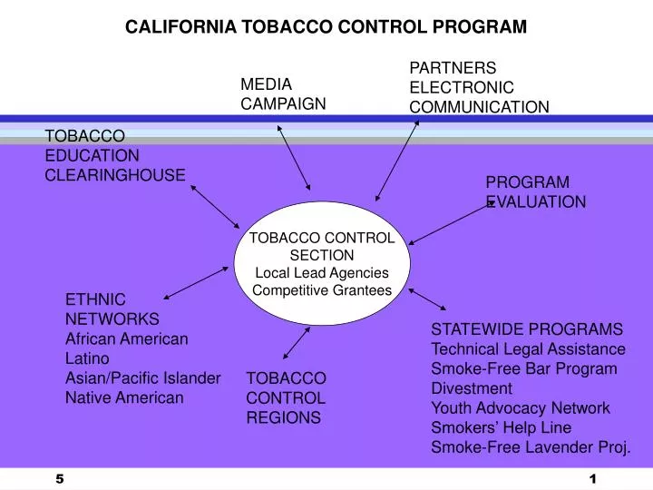 PPT - TOBACCO CONTROL SECTION Local Lead Agencies Competitive Grantees ...