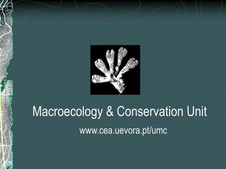 PPT - Macroecology & Conservation Unit cea.uevora.pt/umc PowerPoint Presentation - ID:2627317