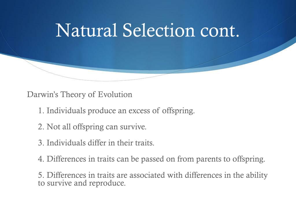 PPT - Biodiversity PowerPoint Presentation, free download - ID:2627481